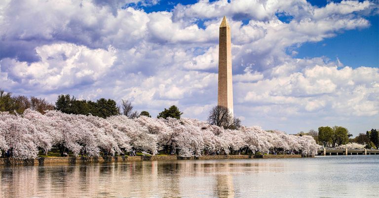 National University Model Arab League – Model Arab League Youth ...